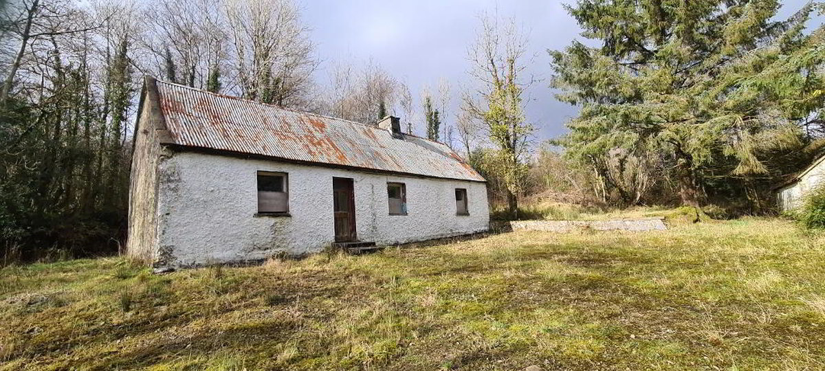 Here are the 5 cheapest houses in the 5 cheapest counties in Ireland ...