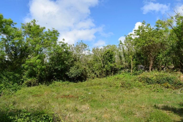 This adorable Irish cottage is on the market for just €79k in County ...